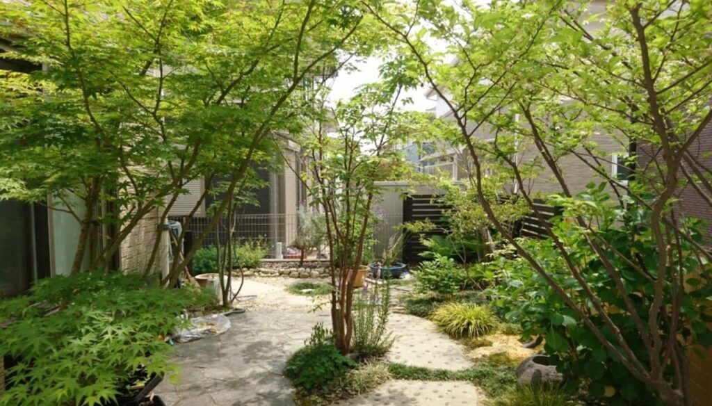 雑木の苗と草花ショップ ぞう木りん 雑木の庭の苗木や草花や宿根草を販売しているショップです。雑木ガーデンのあるライフスタイルをあなたに届け